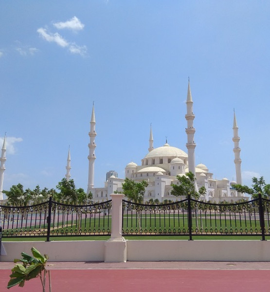 5 Emirates In One Day Tour from Dubai and other emirates. Price from ...